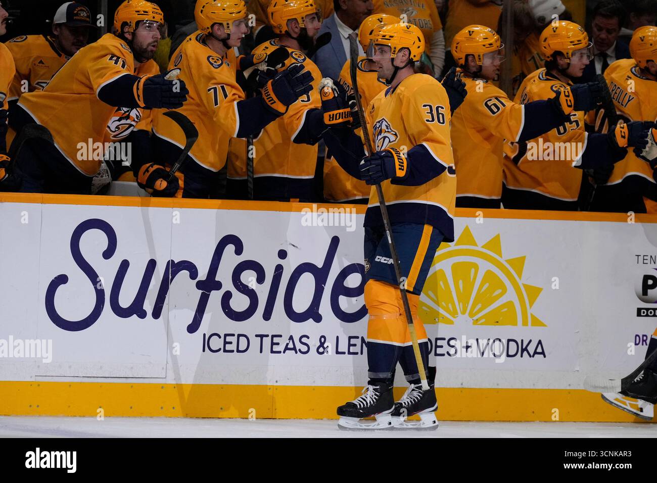 Nashville Predators left wing Cole Smith (36) celebrates his goal ...
