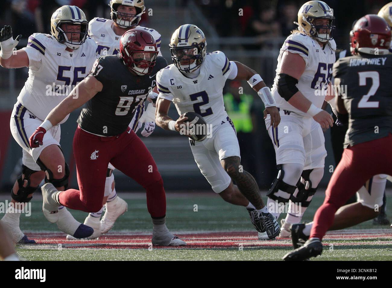 Washington quarterback Demond Williams Jr. (2) carries the ball near ...