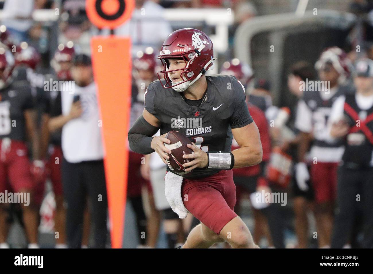 Washington State quarterback Zevi Eckhaus looks for a receiver during ...