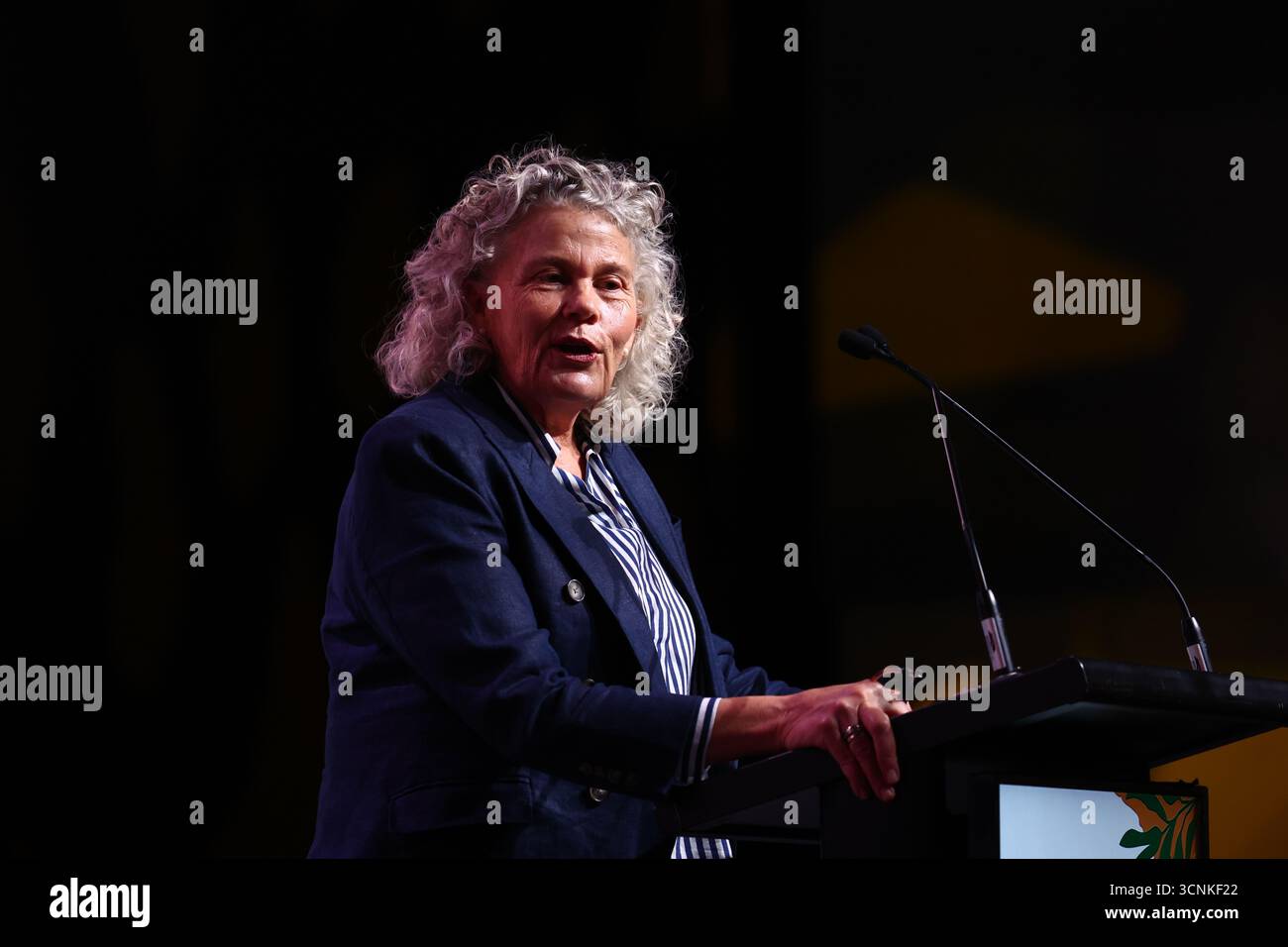 Keynote speaker Fiona Simson pictured at the National Lancare ...