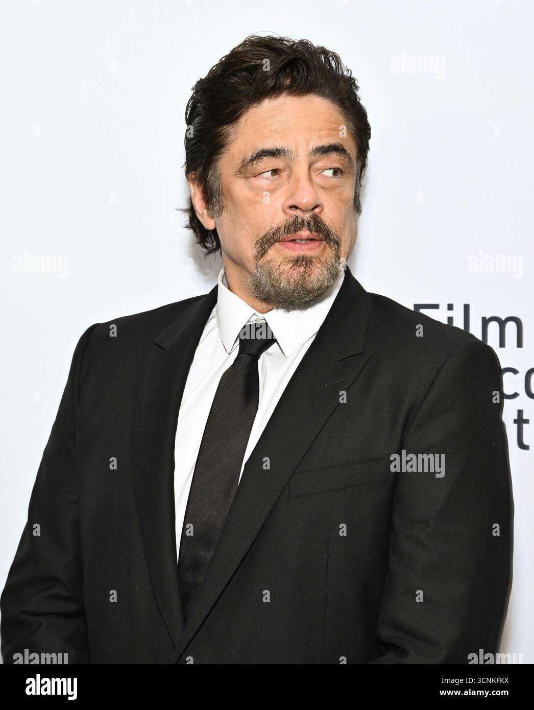 Benicio del Toro attends a special screening of "One Battle After ...