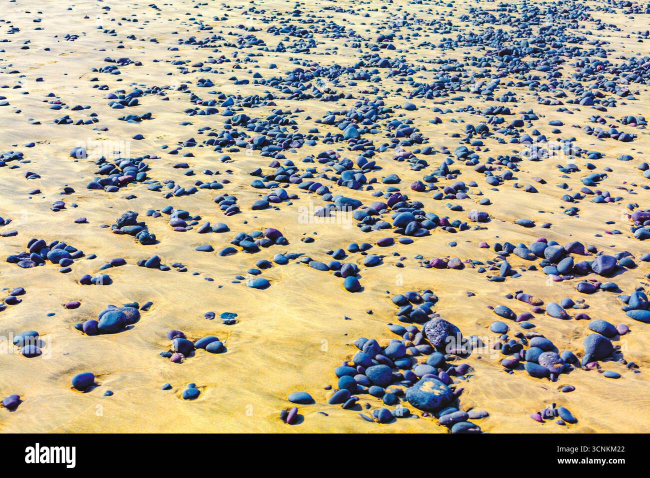 Textured beach landscape featuring golden sand and countless smooth ...