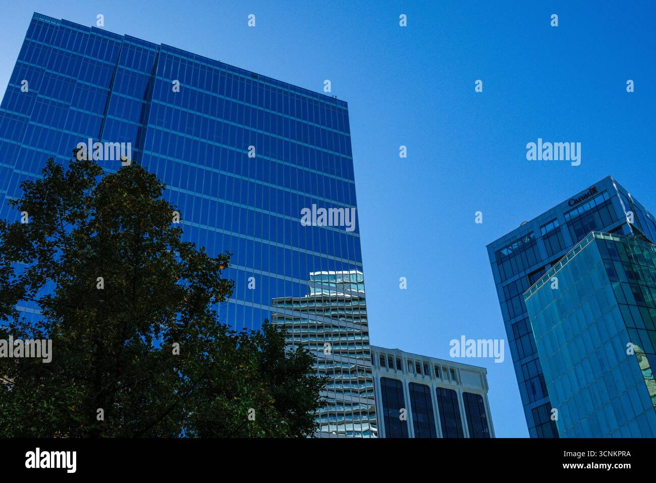 Office buildings in downtown Vancouver, BC Stock Photo - Alamy