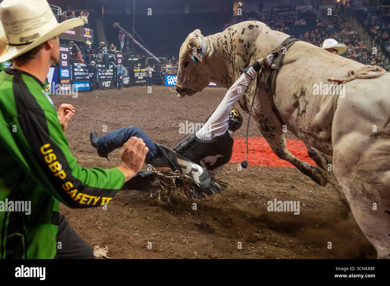 Arizona Ridge Riders' Luciano De Castro rides Turning Point in game 6 ...