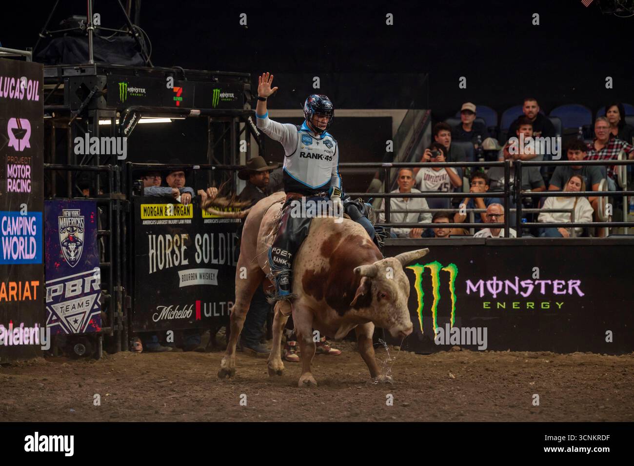 Carolina Cowboys' Adriano Salgado rides Barbarosa in game 10 during the ...
