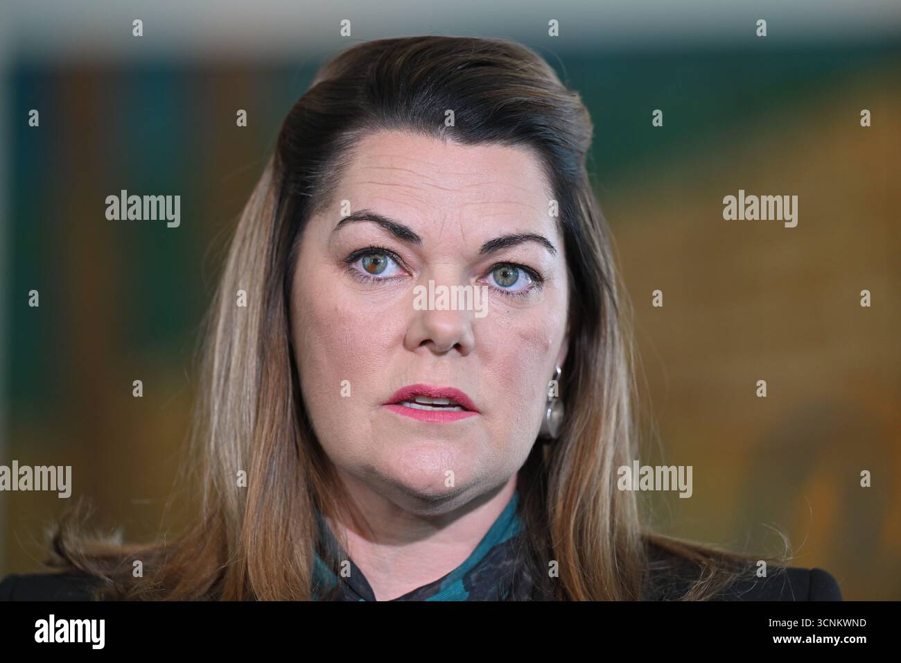Greens Senator Sarah Hanson-Young at a press conference at Parliament ...