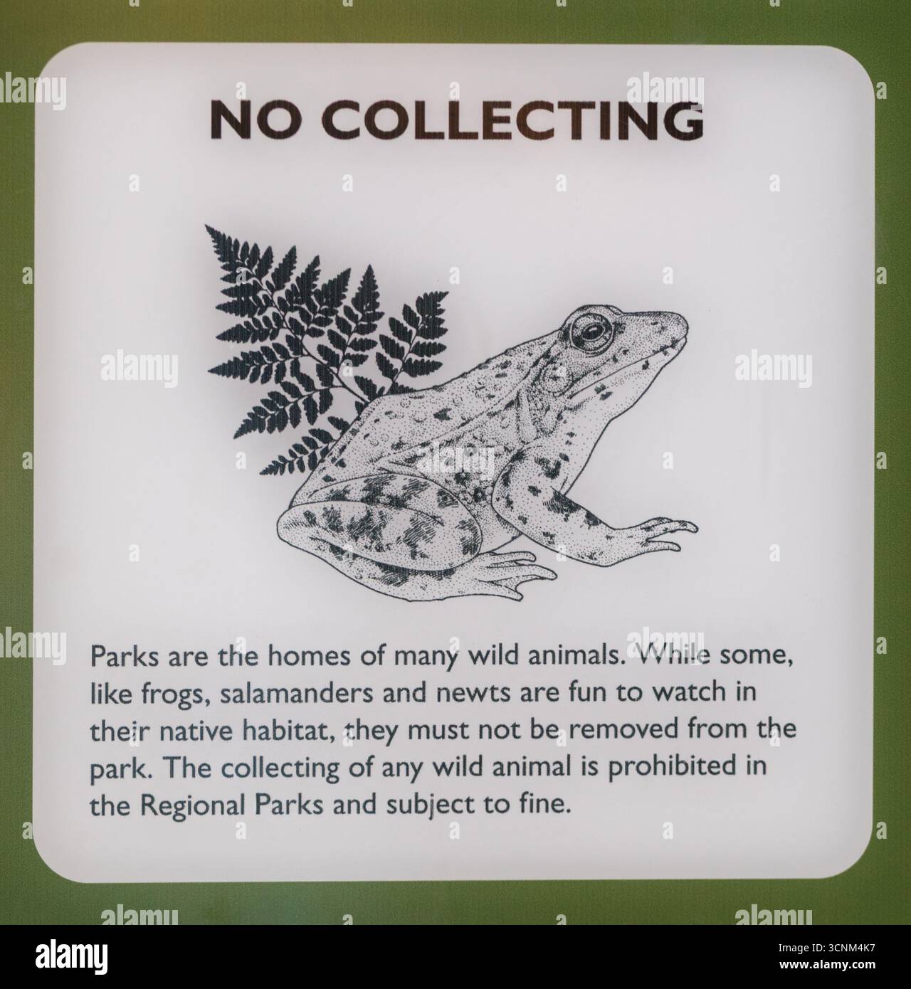 No Collecting Wildlife Sign by East Bay Regional Park District at Sunol ...