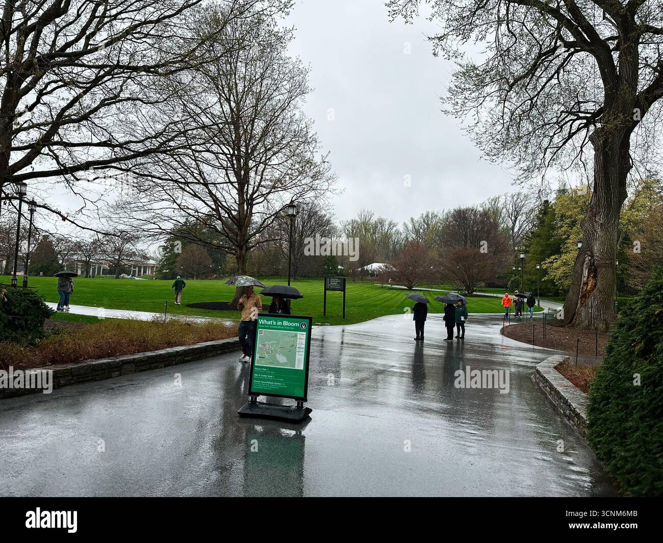 Kennett Square, Pennsylvania, USA - April 15, 2025: Rainy day in ...