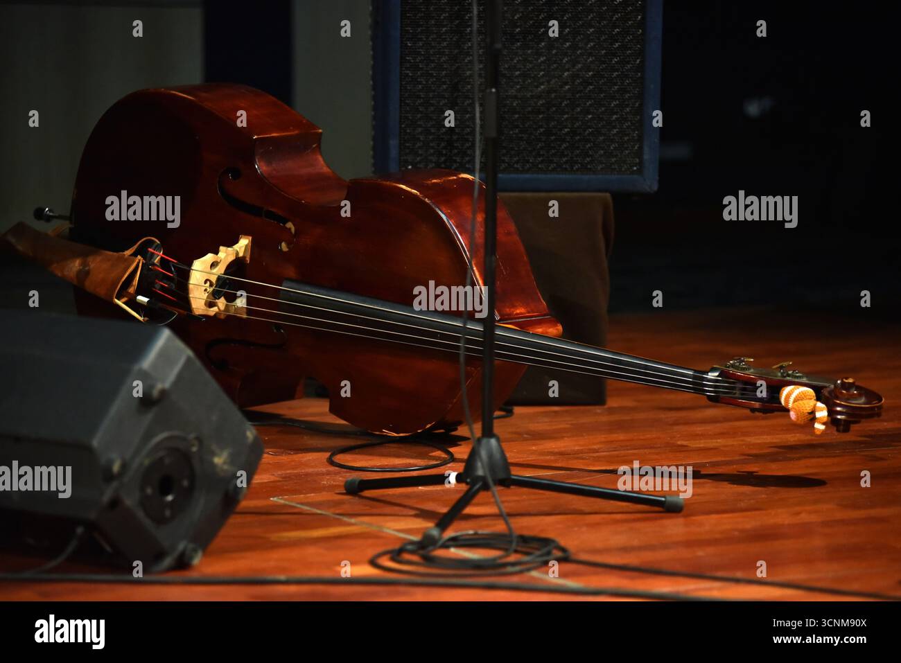 Double bass instrument on the stage Stock Photo - Alamy