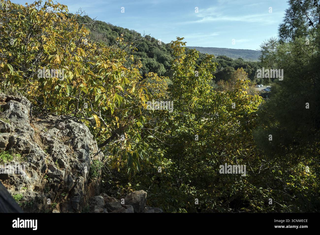 Israel; Galilee; Banias; Caesarea Philippi, autumn landscape around the ...