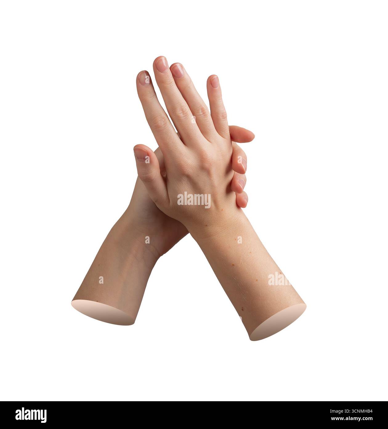 Pair of female hands with neat manicure in gentle posture, showing ...