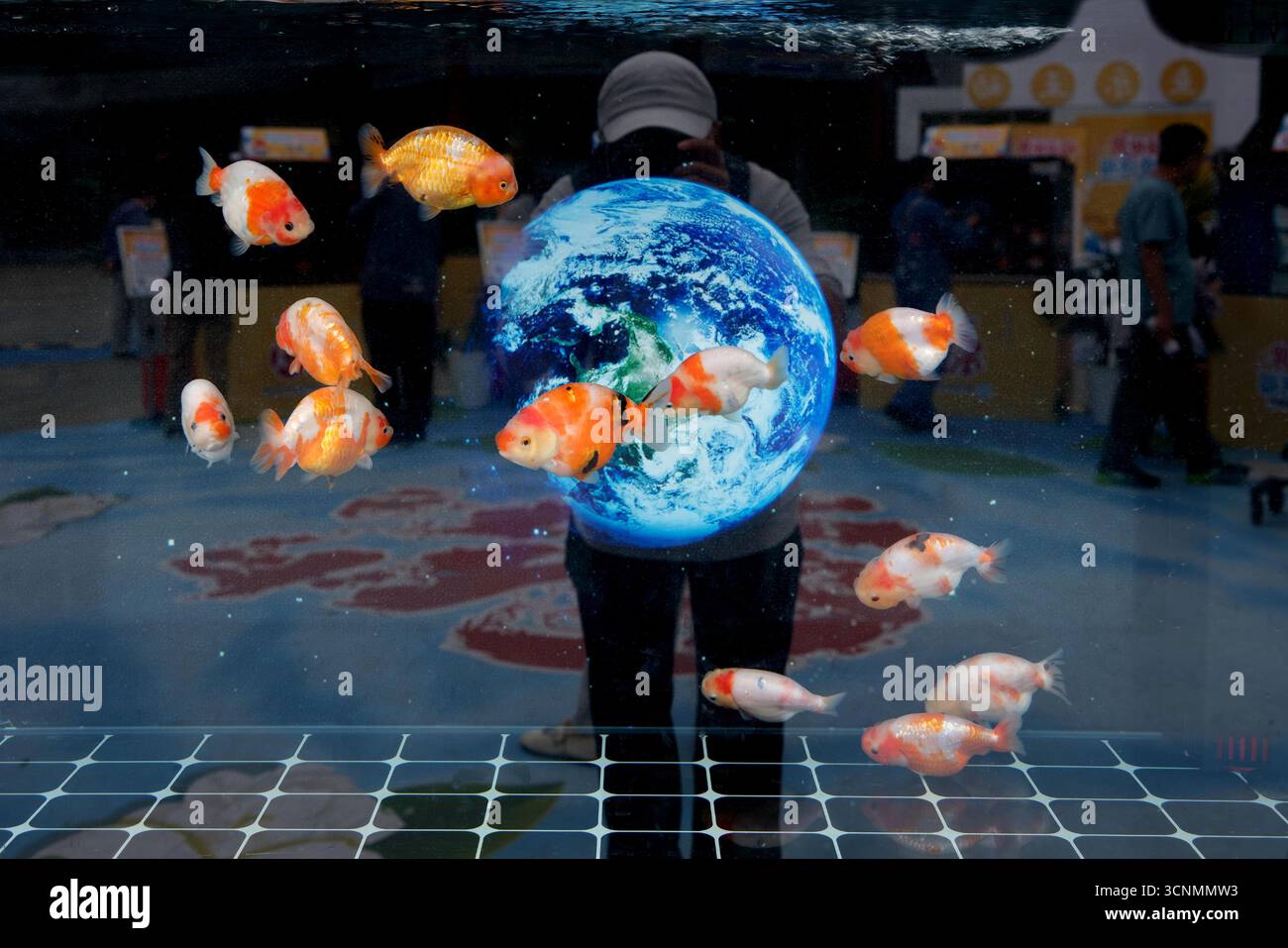 A goldfish culture exhibition is held in Zhongshan Park in Beijing ...