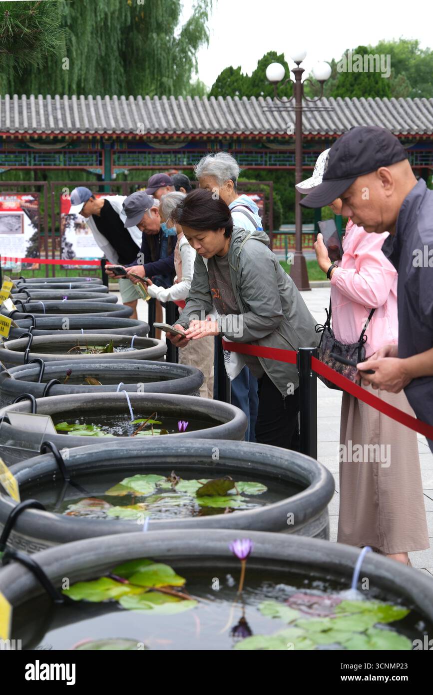 A goldfish culture exhibition is held in Zhongshan Park in Beijing ...