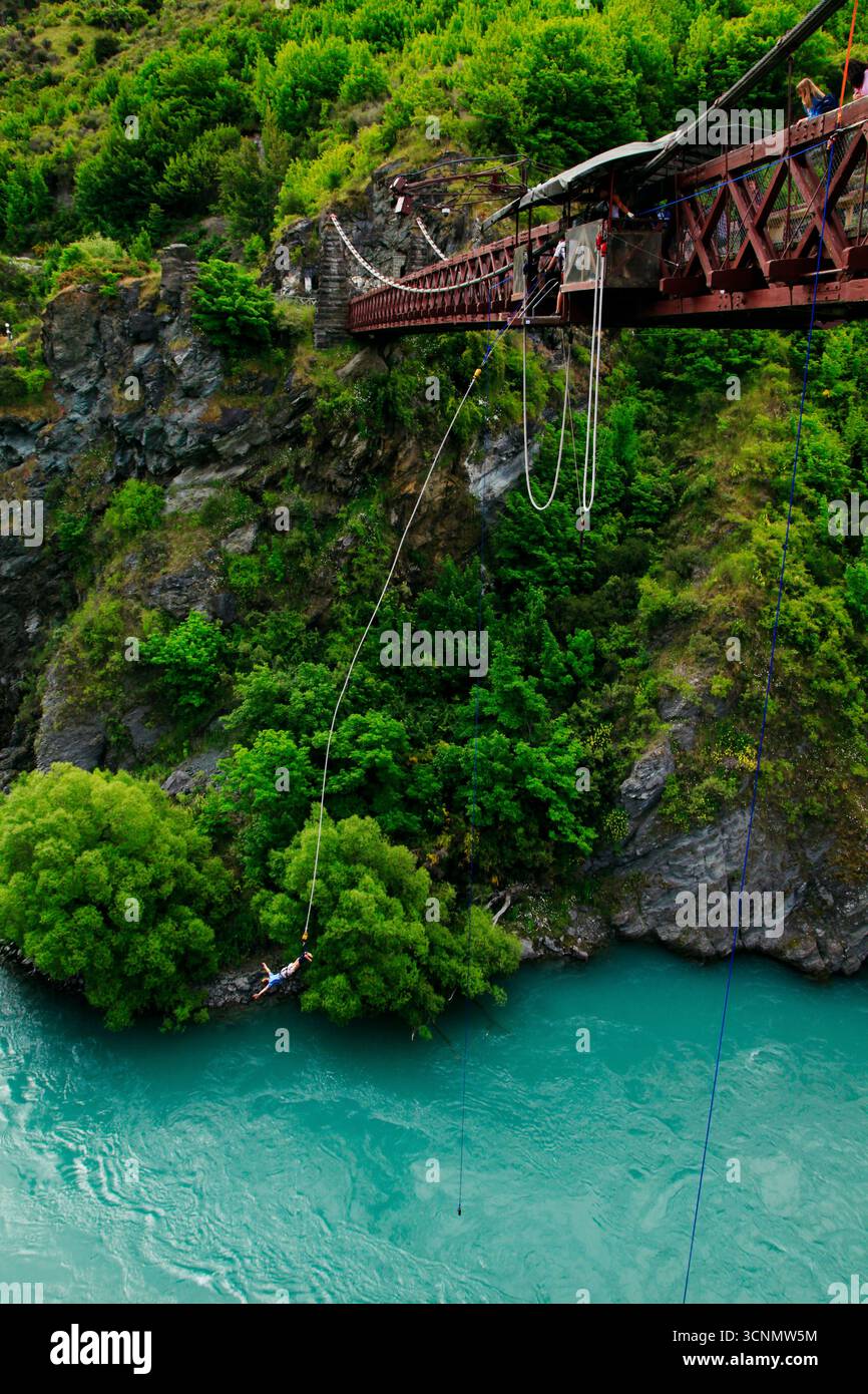 Man bungee jumping off Kuwara Bridge, New Zealand Stock Photo - Alamy