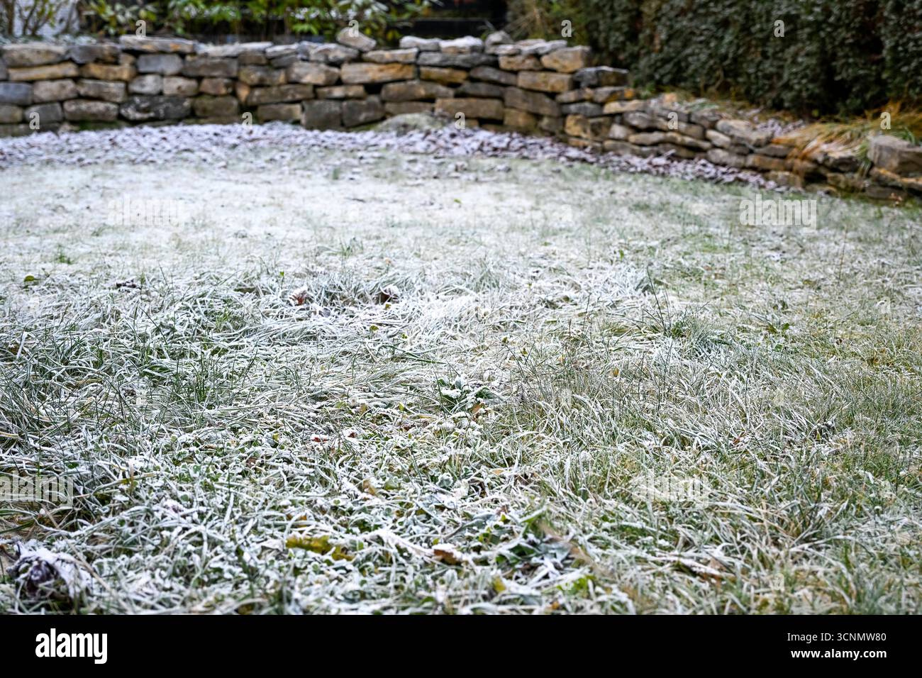 Eine Rasenfläche im Garten ist mit Reif überzogen, Deutschland, Baden ...