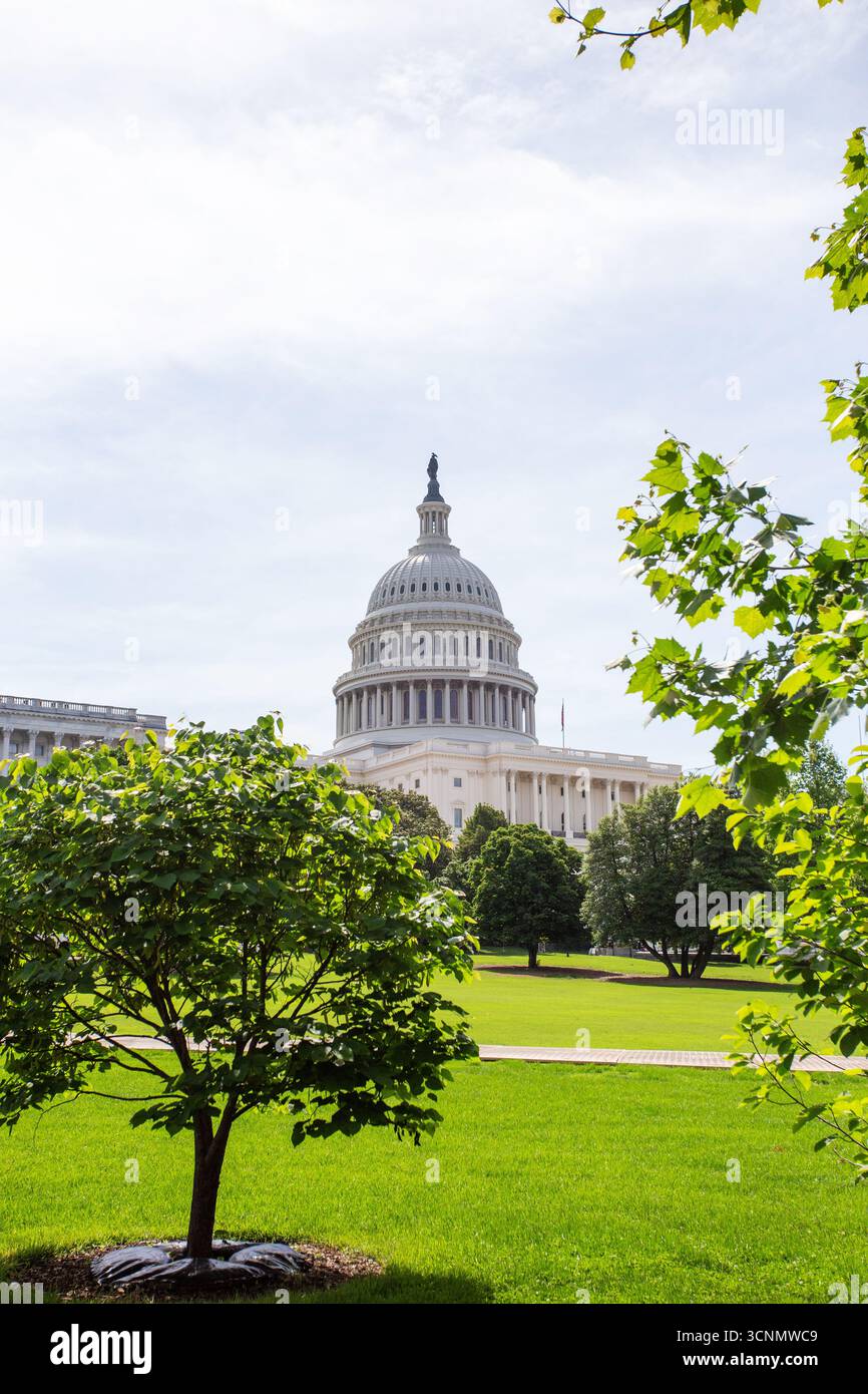 Washington dc statue of freedom capitol hi-res stock photography and ...