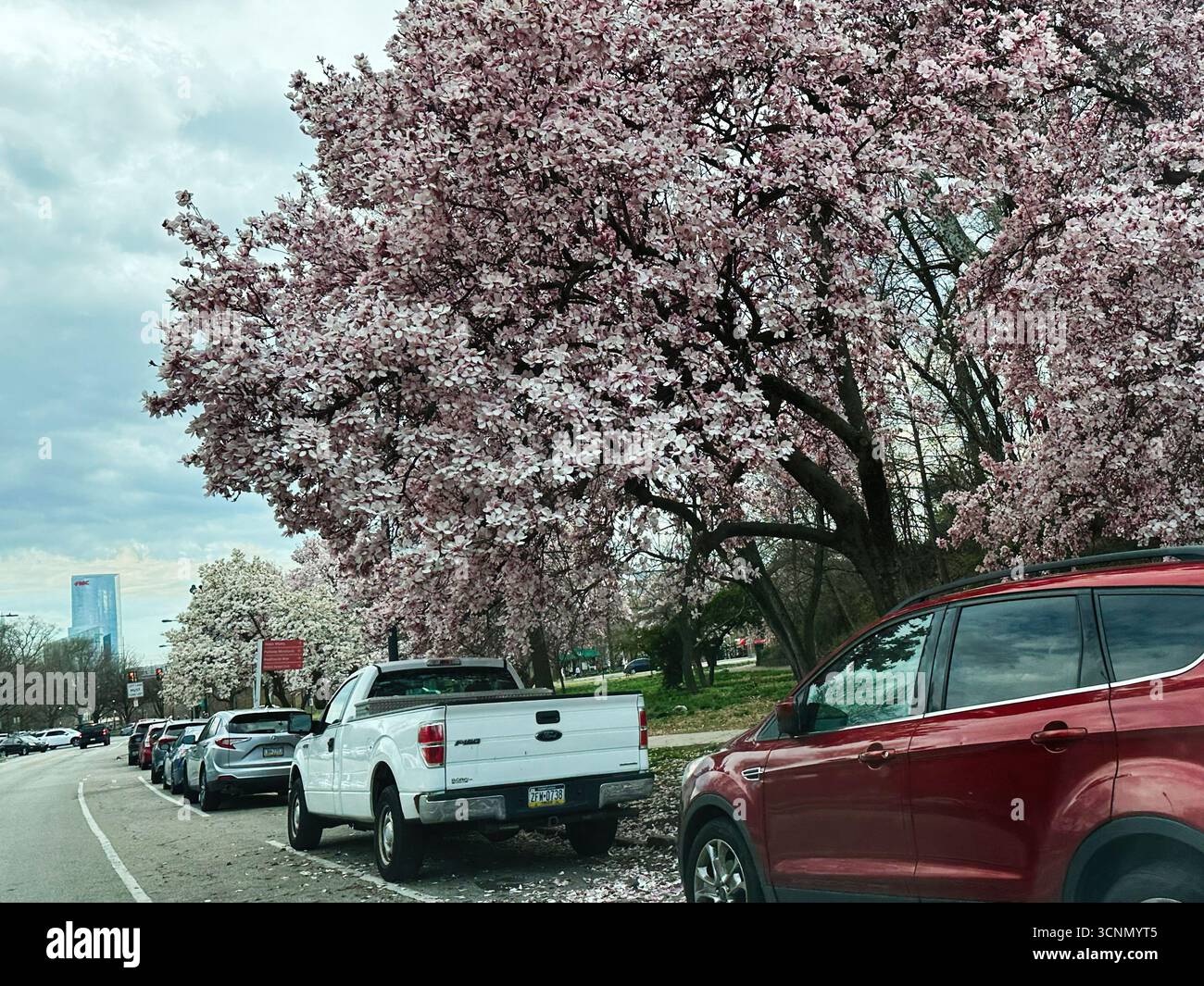 Philadelphia, Pennsylvania, USA - April 29, 2025: Springtime scene in ...