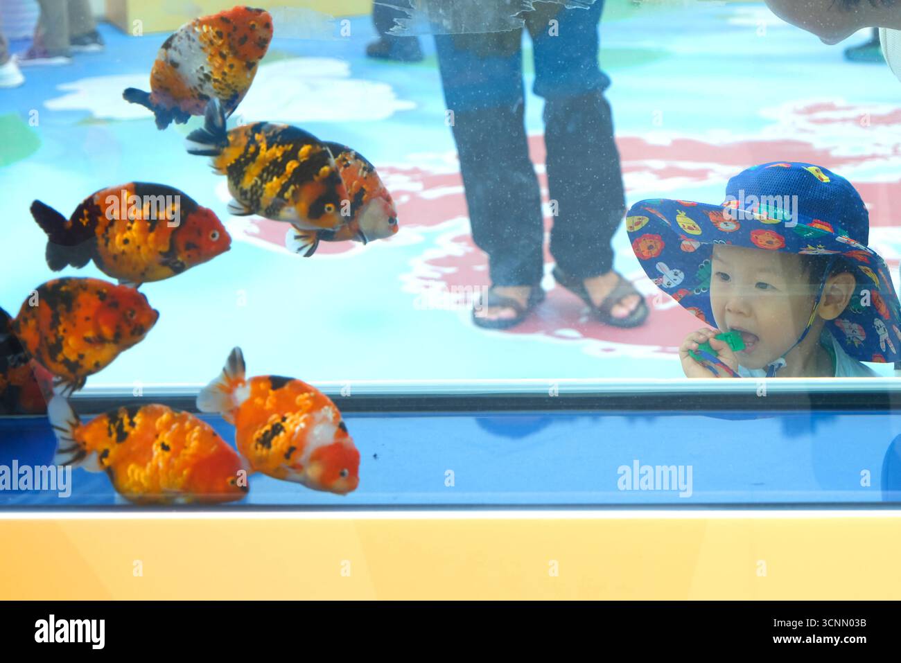 A goldfish culture exhibition is held in Zhongshan Park in Beijing ...
