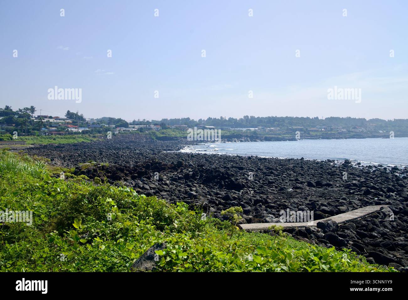 A wide field of dark basalt stones spreads along the Sinheung-ri coast ...