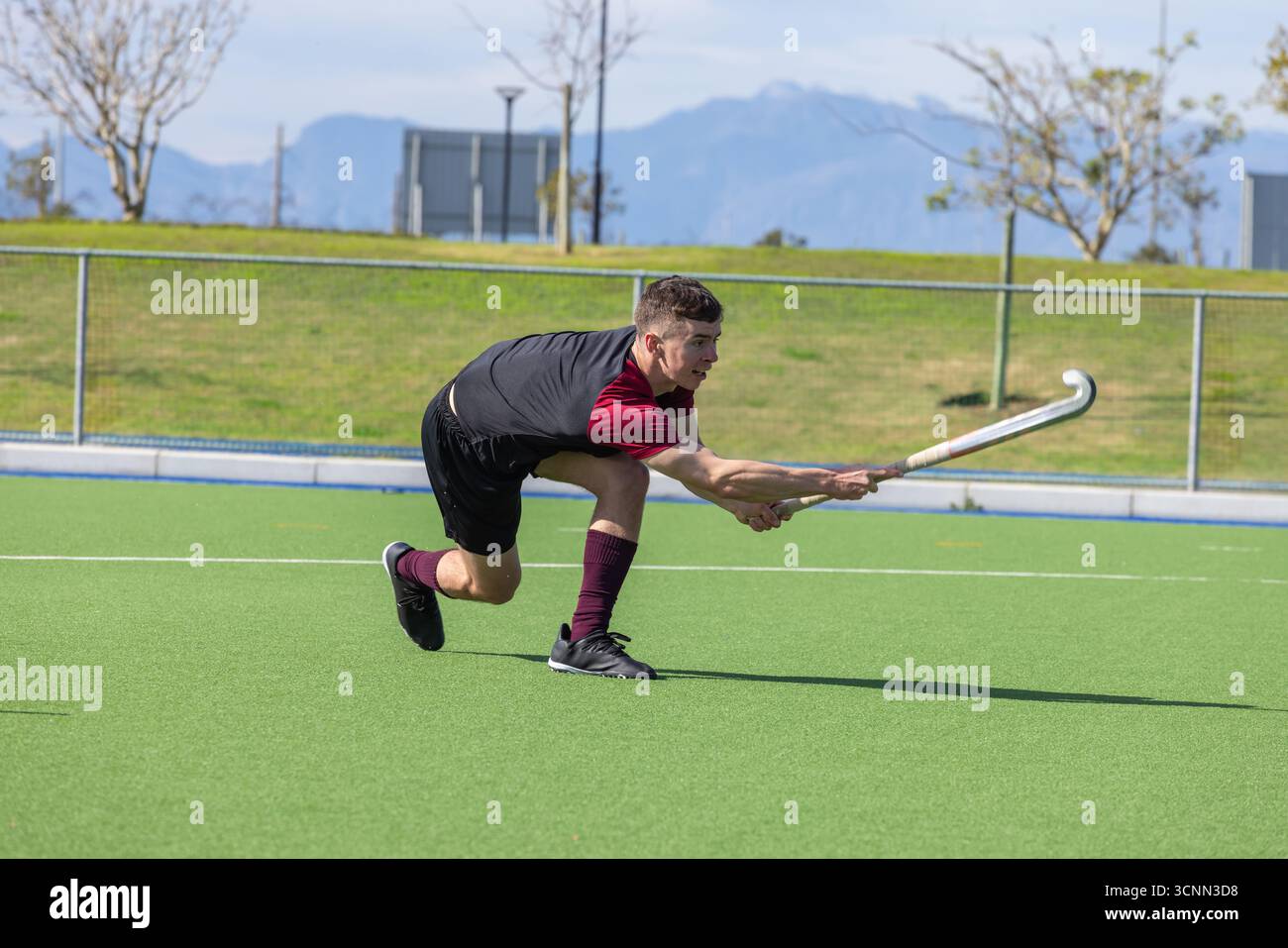 Male field hockey player lunging forward on green synthetic turf pitch ...