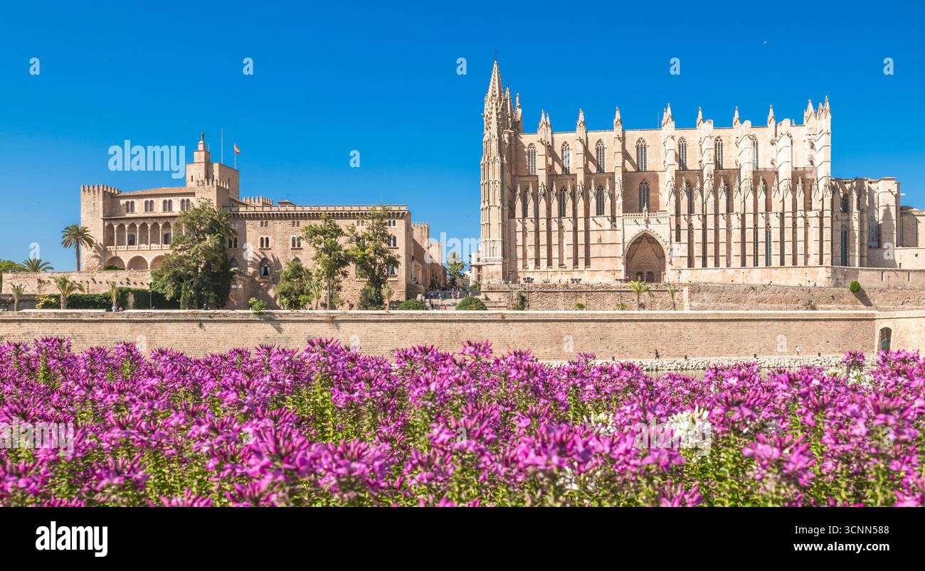 Palace of Almudaina and La Seu Cathedral with Parc de la Mar - Palma de ...