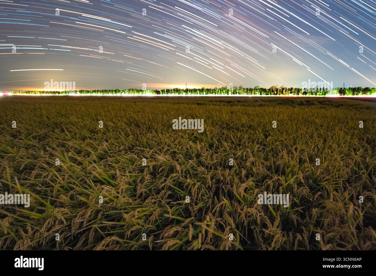 (250922) -- HARBIN, Sept. 22, 2025 (Xinhua) -- This stack composite ...