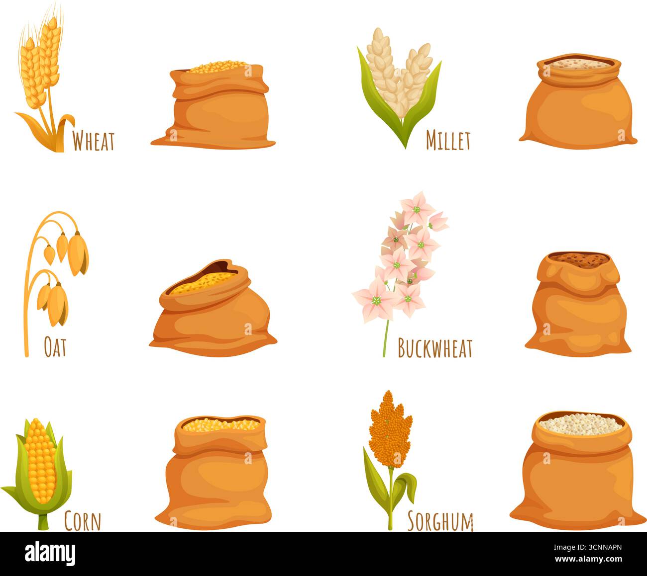 Cartoon bags with various cereals. Plants of wheat, buckwheat, sorghum ...