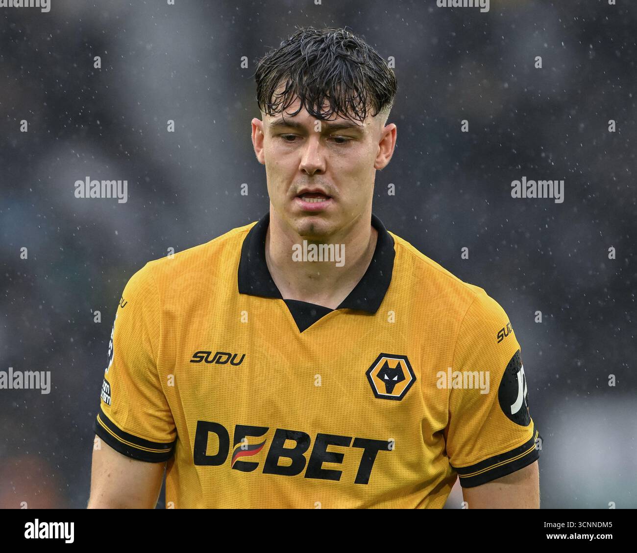 Wolverhampton Wanderers' Jorgen Strand Larsen during the Premier League ...