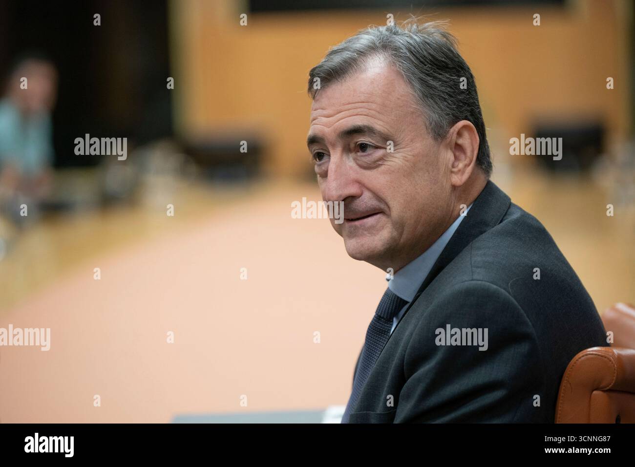 The president of the PNV, Aitor Esteban, during a meeting, at the ...