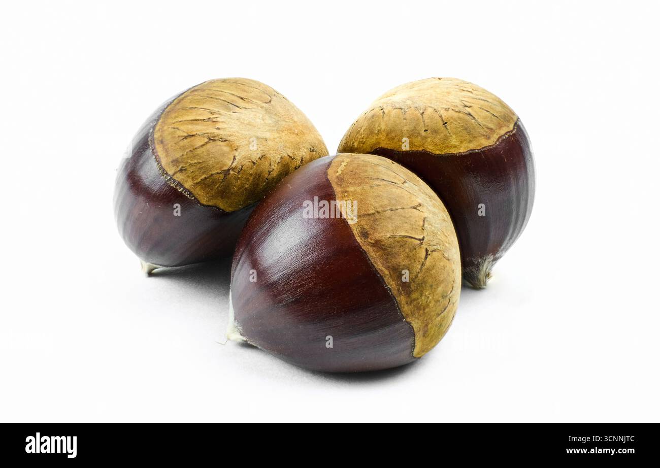 Show vegetable Cut Out Stock Images & Pictures - Alamy