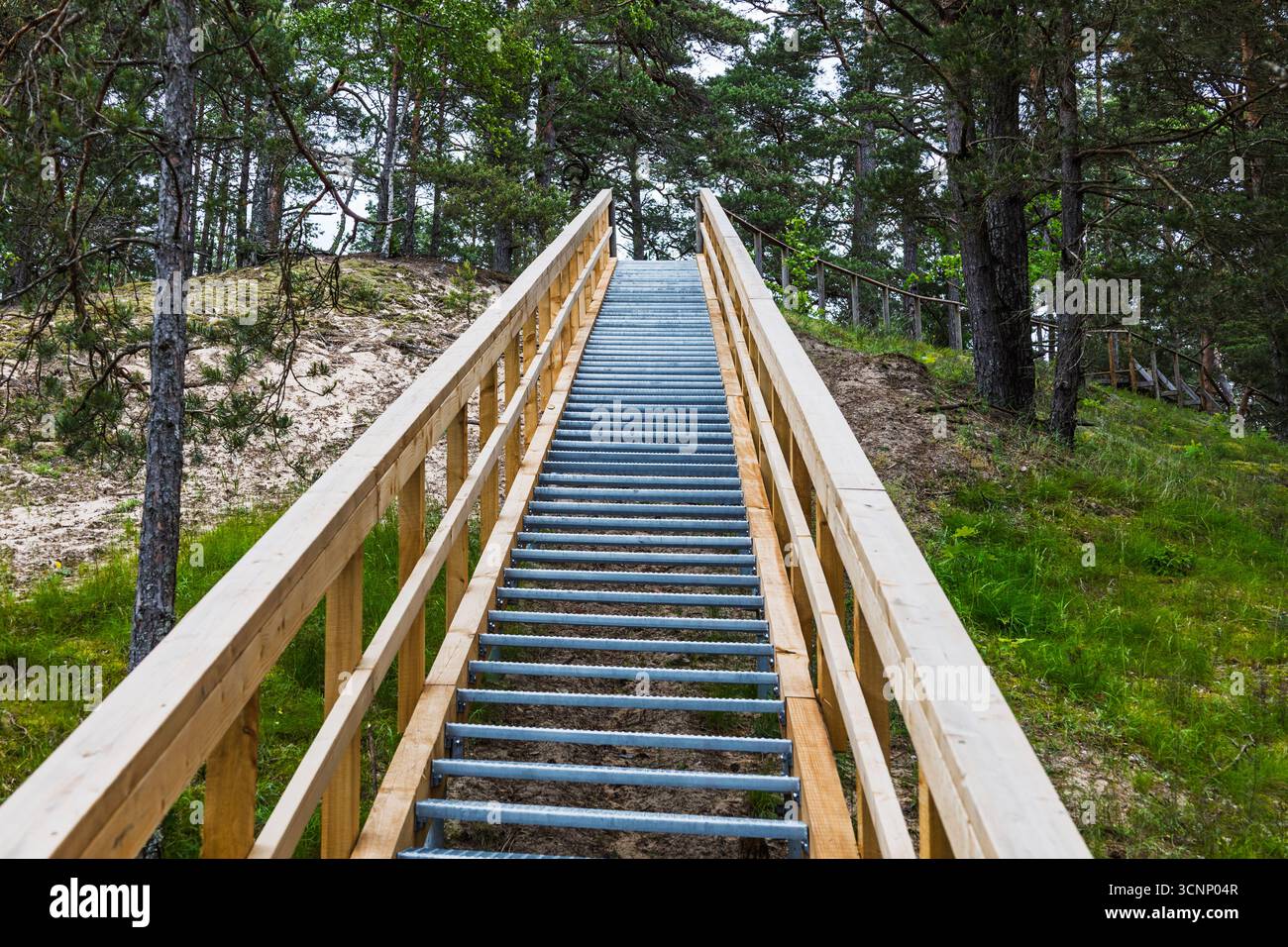 Wooden Staircase Through Pine Forest Dunes Stock Photo - Alamy