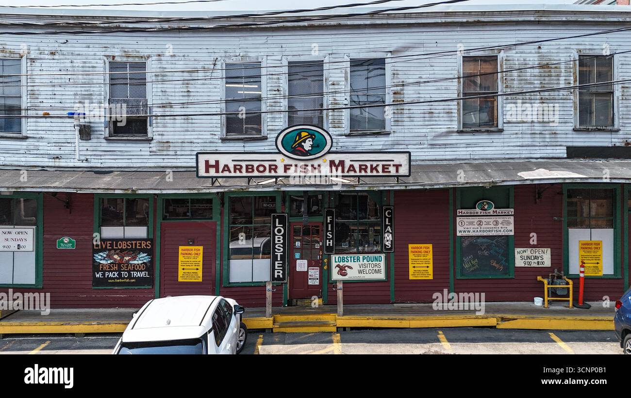 Harborfish hi-res stock photography and images - Alamy