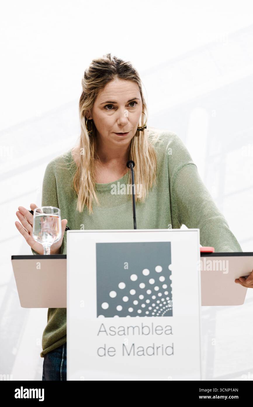 The PSOE spokeswoman in the Assembly of Madrid, during a press ...