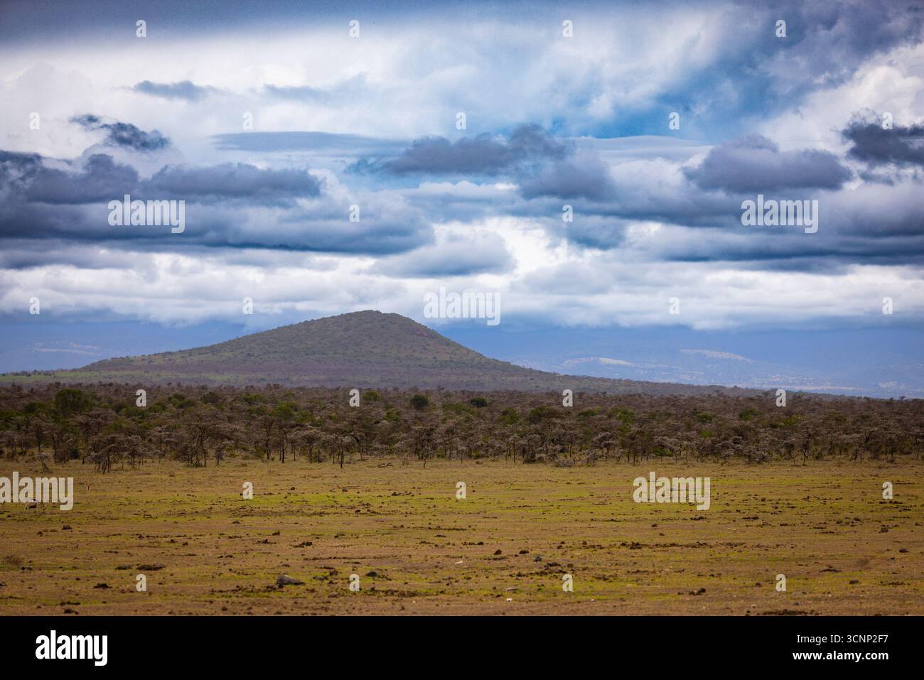 Solio Ranch is a privately owned wildlife conservancy located in Kenya ...