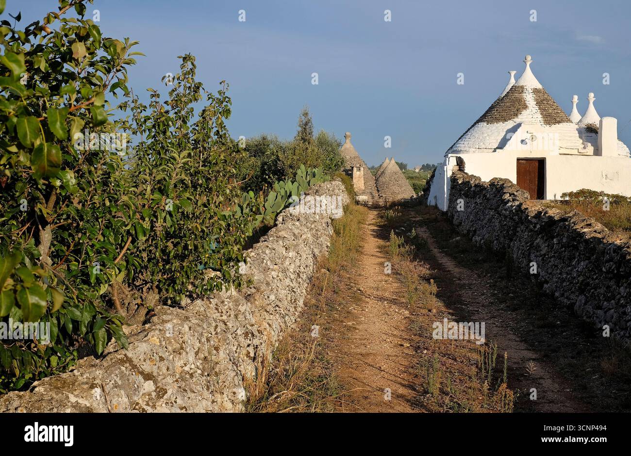 Traditional white trulli houses hi-res stock photography and images - Alamy