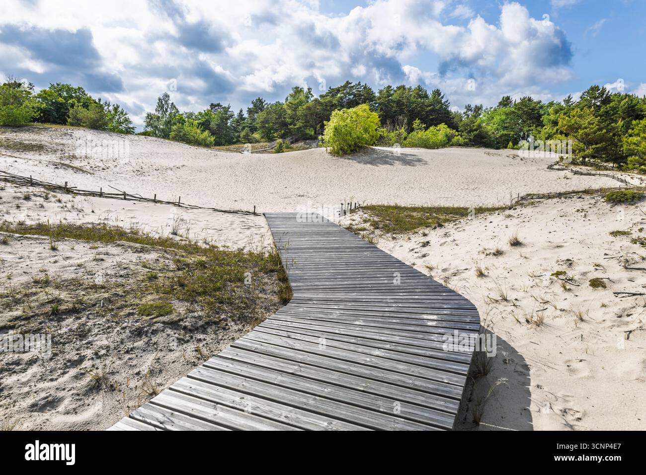 Baltic shoreline boardwalk path hi-res stock photography and images - Alamy