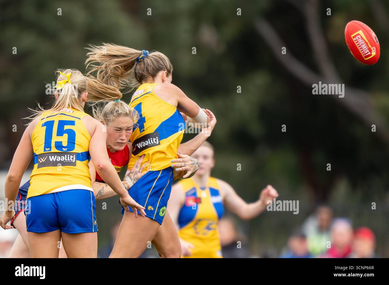 Tayla Harris of the Melbourne FC (L) and Ella Roberts of the West Coast ...