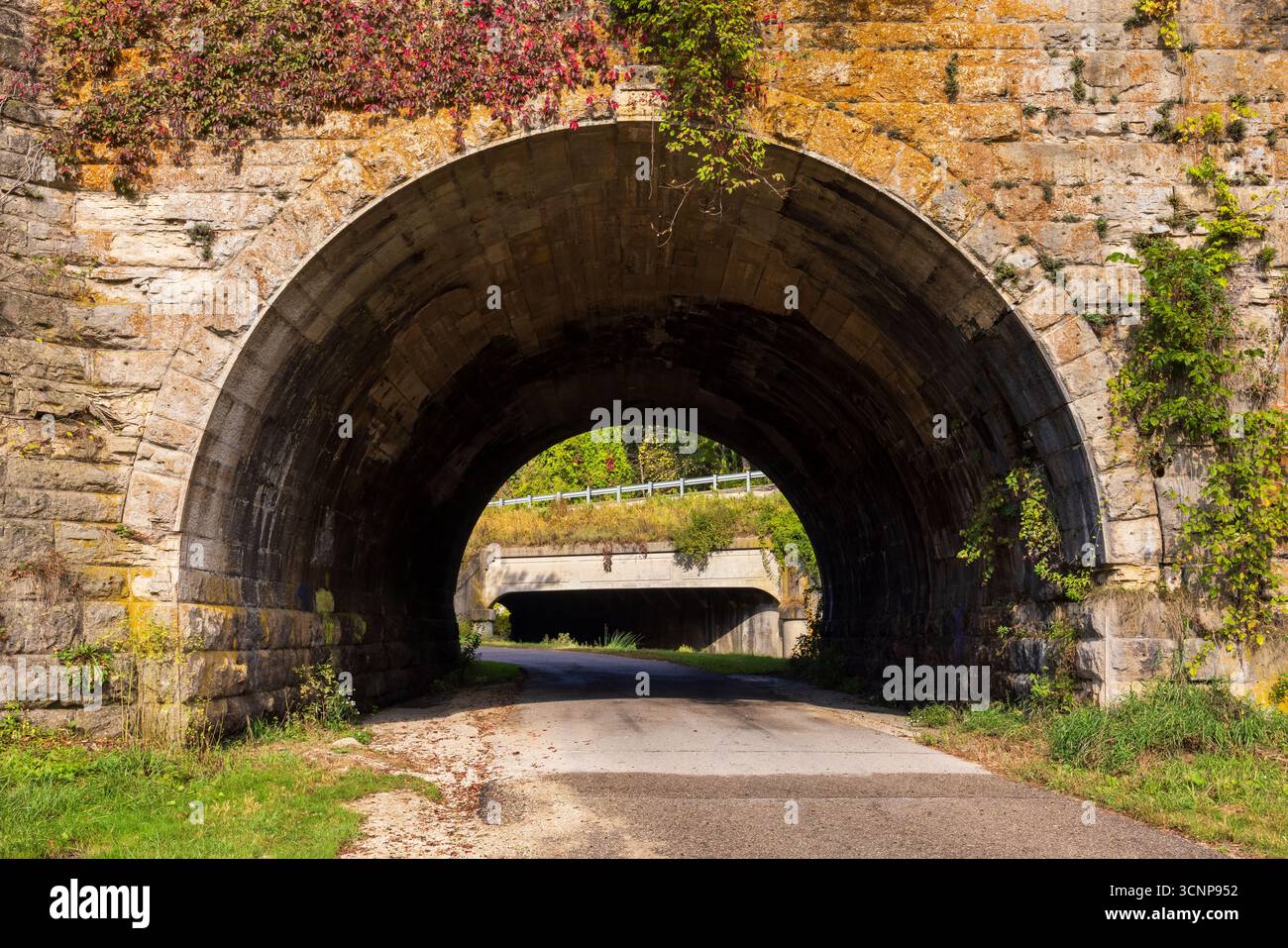 A road passing under an old stone arch bridge Stock Photo - Alamy