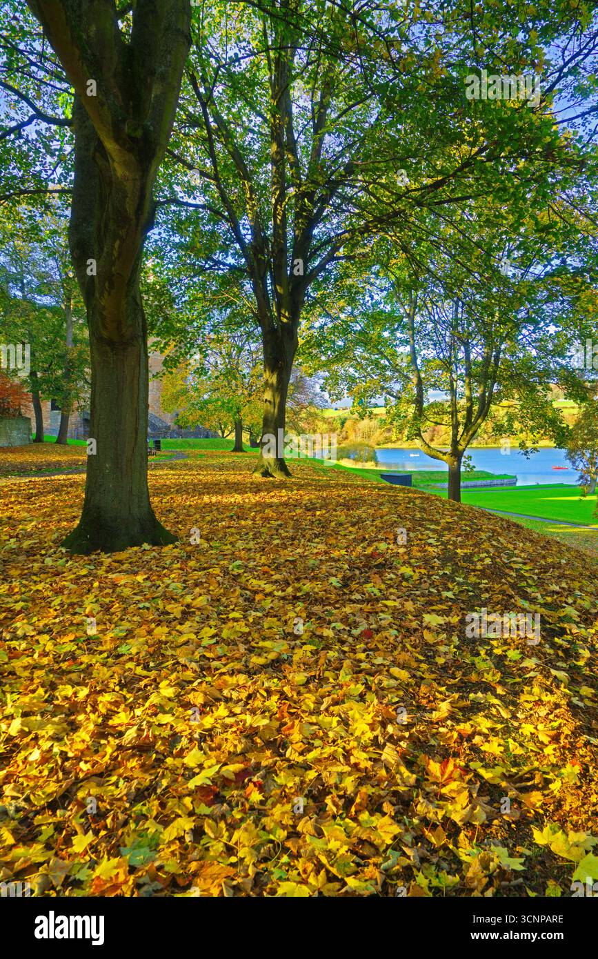 Autumn light at Linlithgow loch, peel, Central Scotland. Low slanting ...