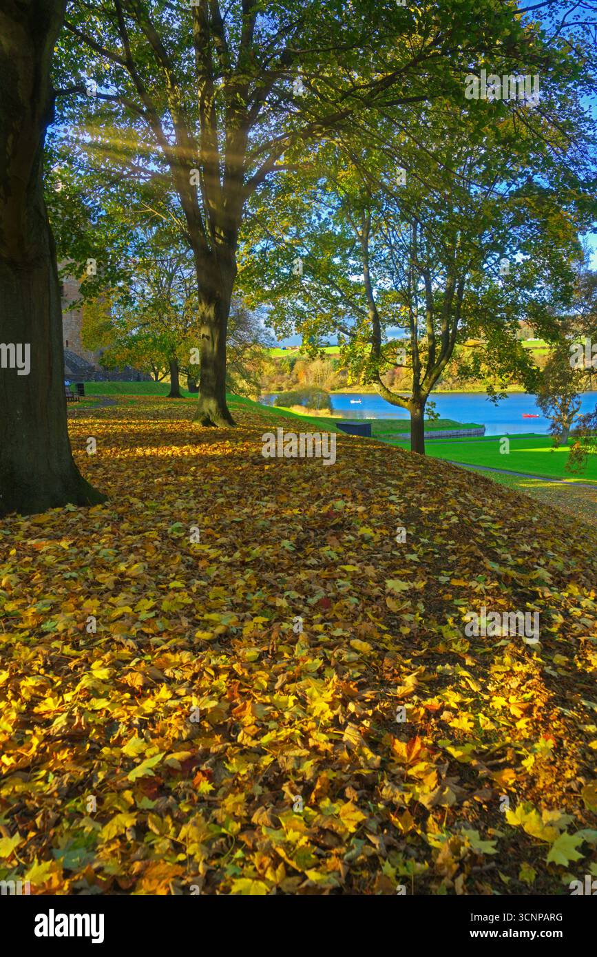 Autumn light at Linlithgow loch, peel, Central Scotland. Low slanting ...