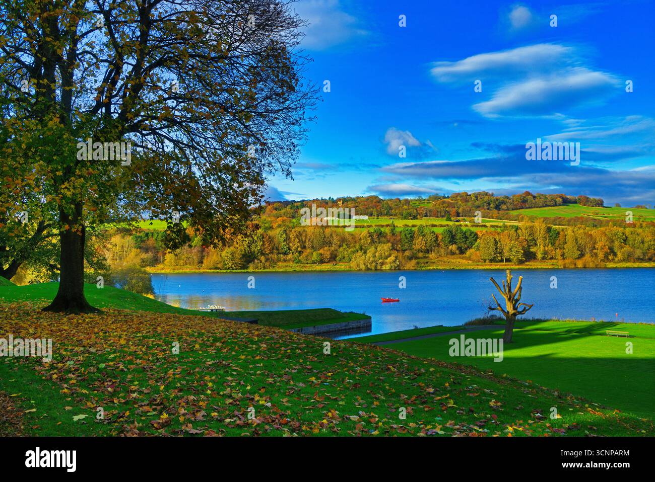 Autumn light at Linlithgow loch, peel, Central Scotland. Low slanting ...