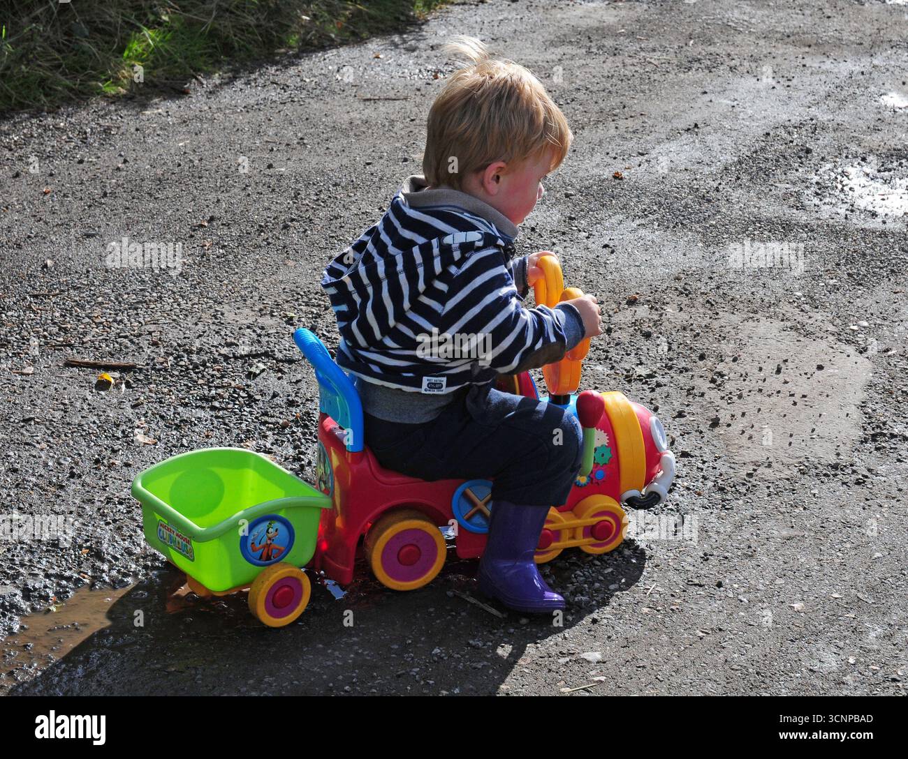 Rollalong toy hi-res stock photography and images - Alamy
