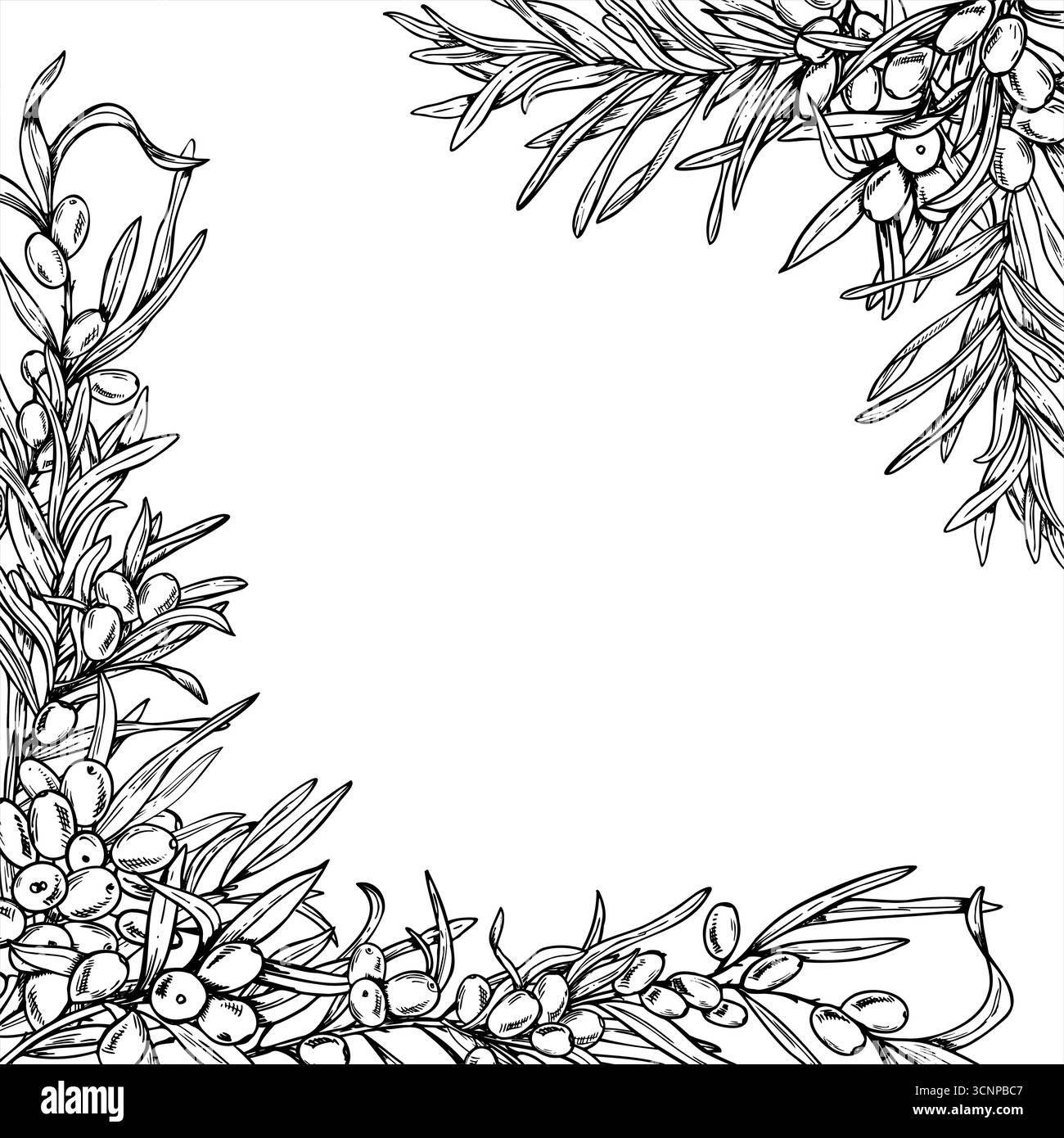 Vector monochrome frame outline hi-res stock photography and images - Alamy