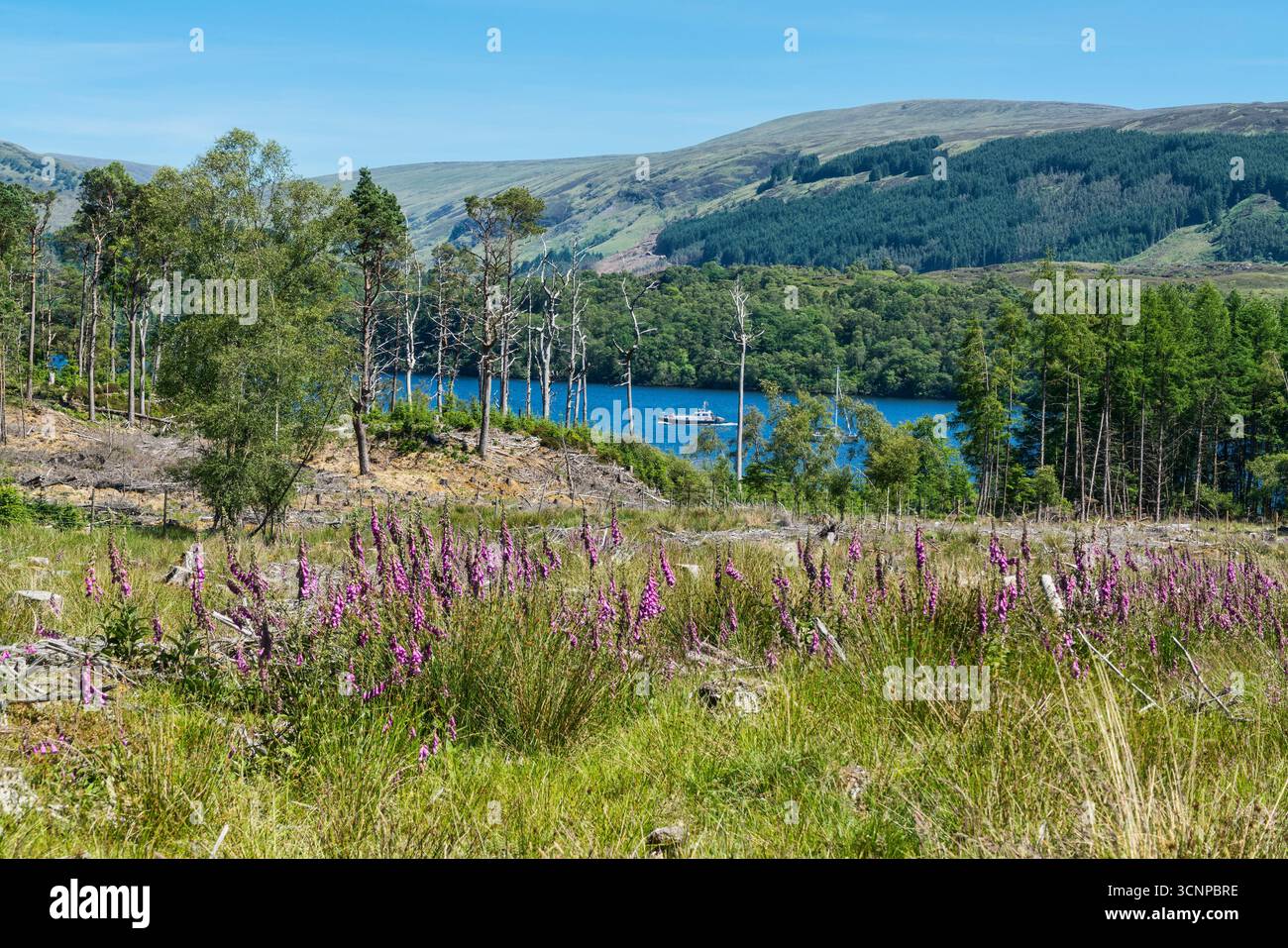 Looking east to Loch Lochy, one of the inland lochs on the famous ...