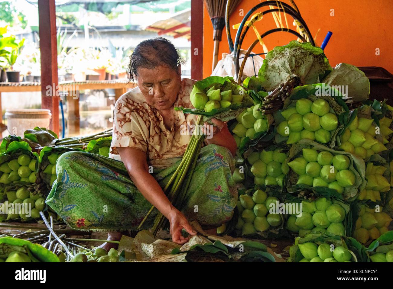 Bangkok thailand 2025 open hi-res stock photography and images - Alamy