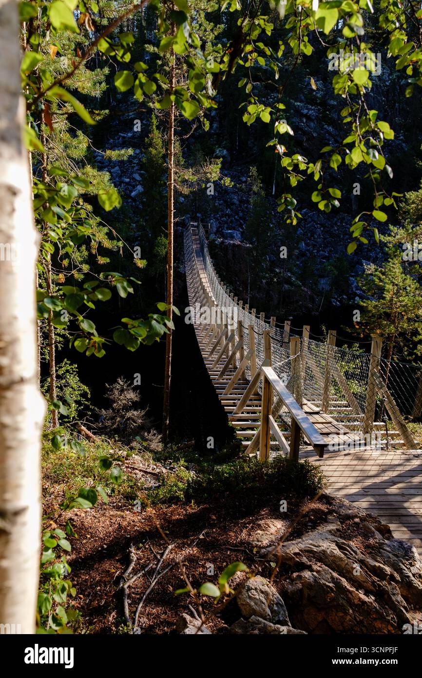 Discover the breathtaking beauty of Hossa National Park in Finland ...