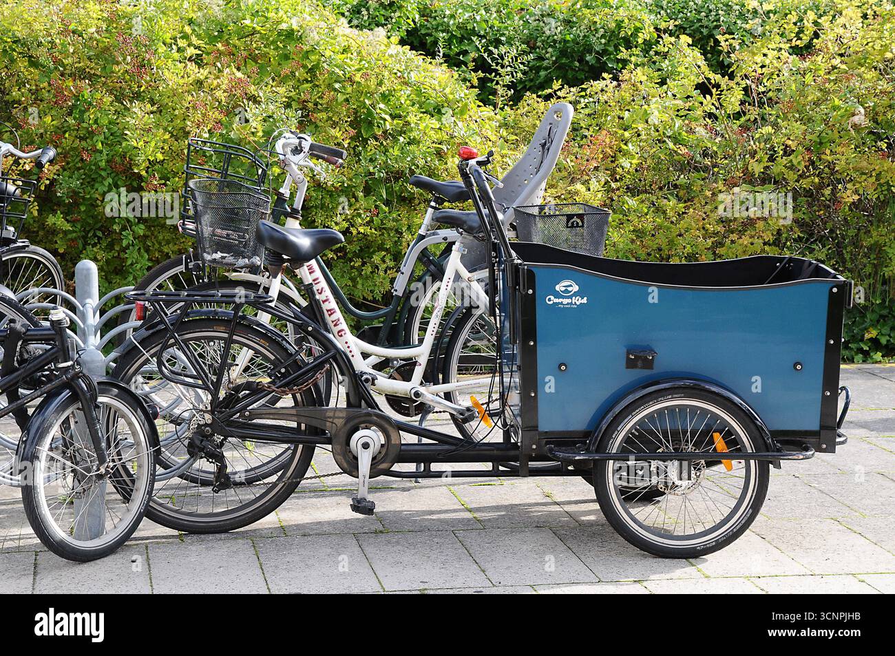Copenhagen/ Denmark/08 september 2025 /cargo bikes r in sanish capital ...