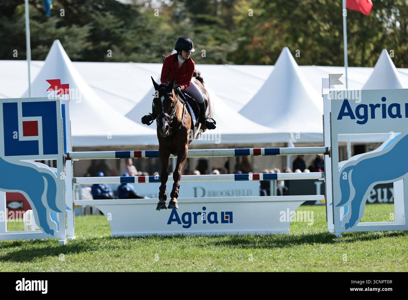 Kumru Say of Turkey riding Baladin De L'ocean Ja during the showjumping ...