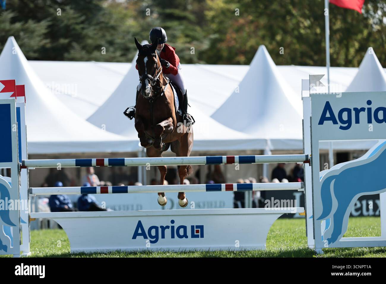 Kumru Say of Turkey riding Baladin De L'ocean Ja during the showjumping ...