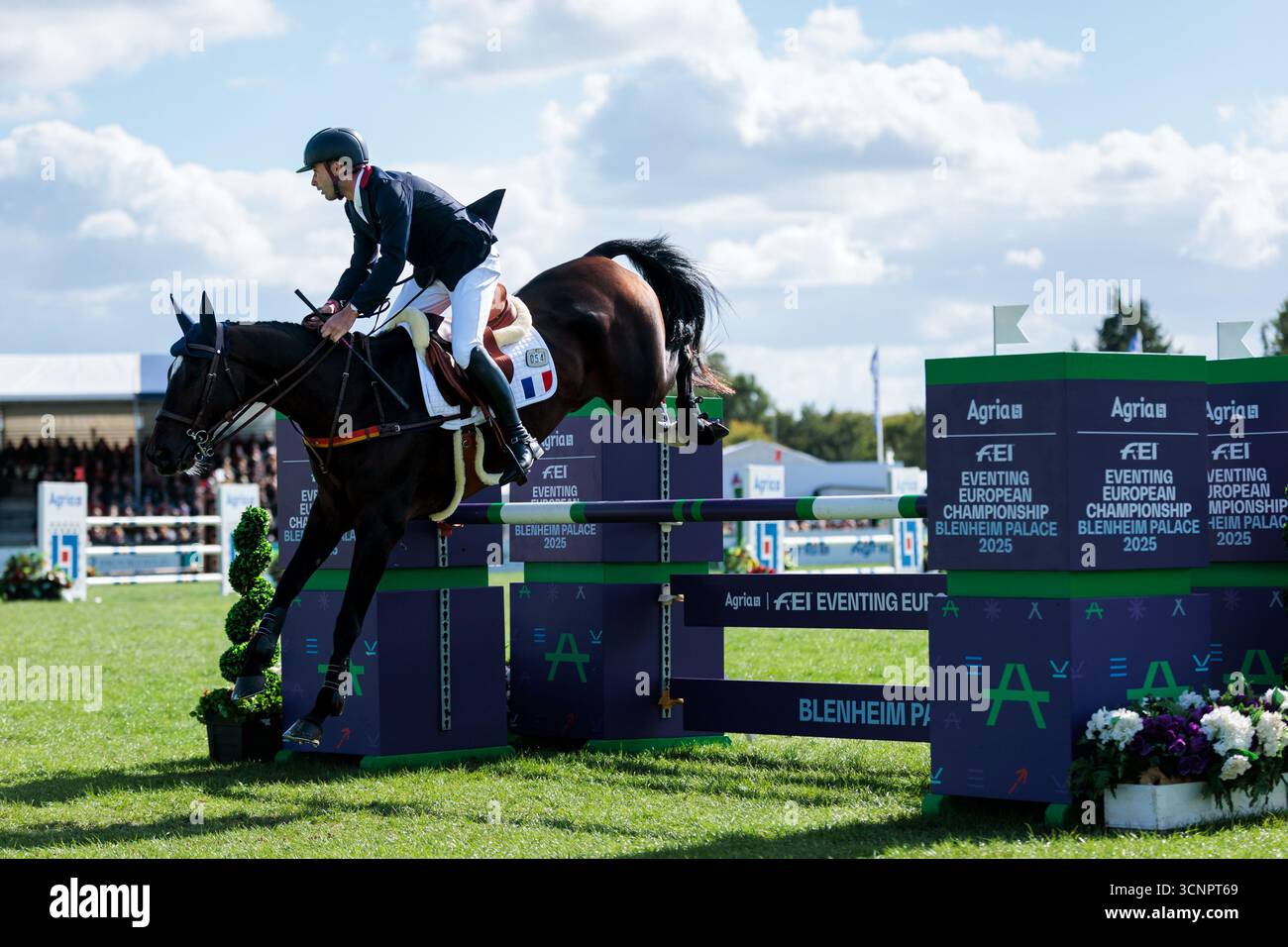 Astier Nicolas of France riding Alertamalib'or during the showjumping ...